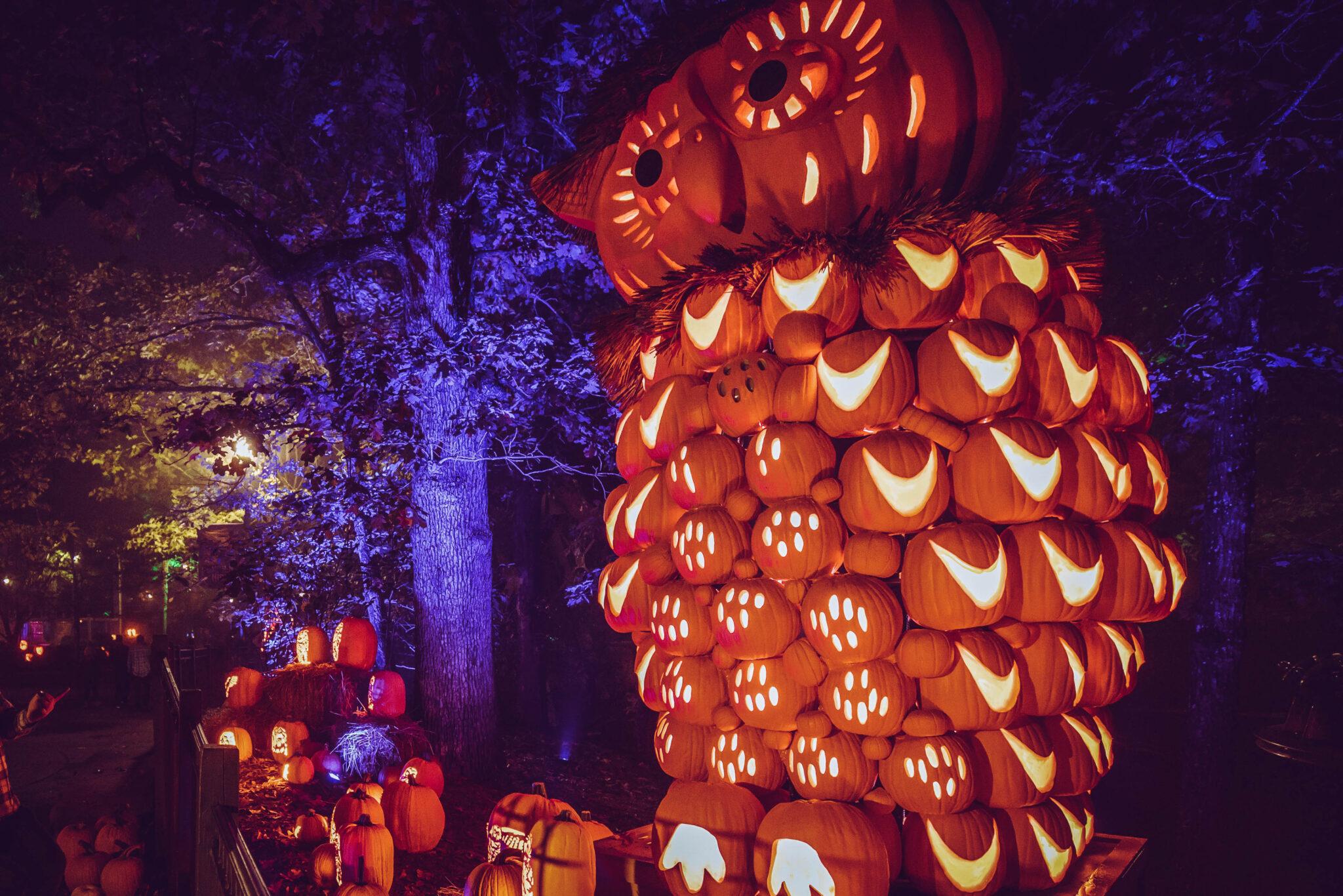 Pumpkins At Callaway - Pine Mountain